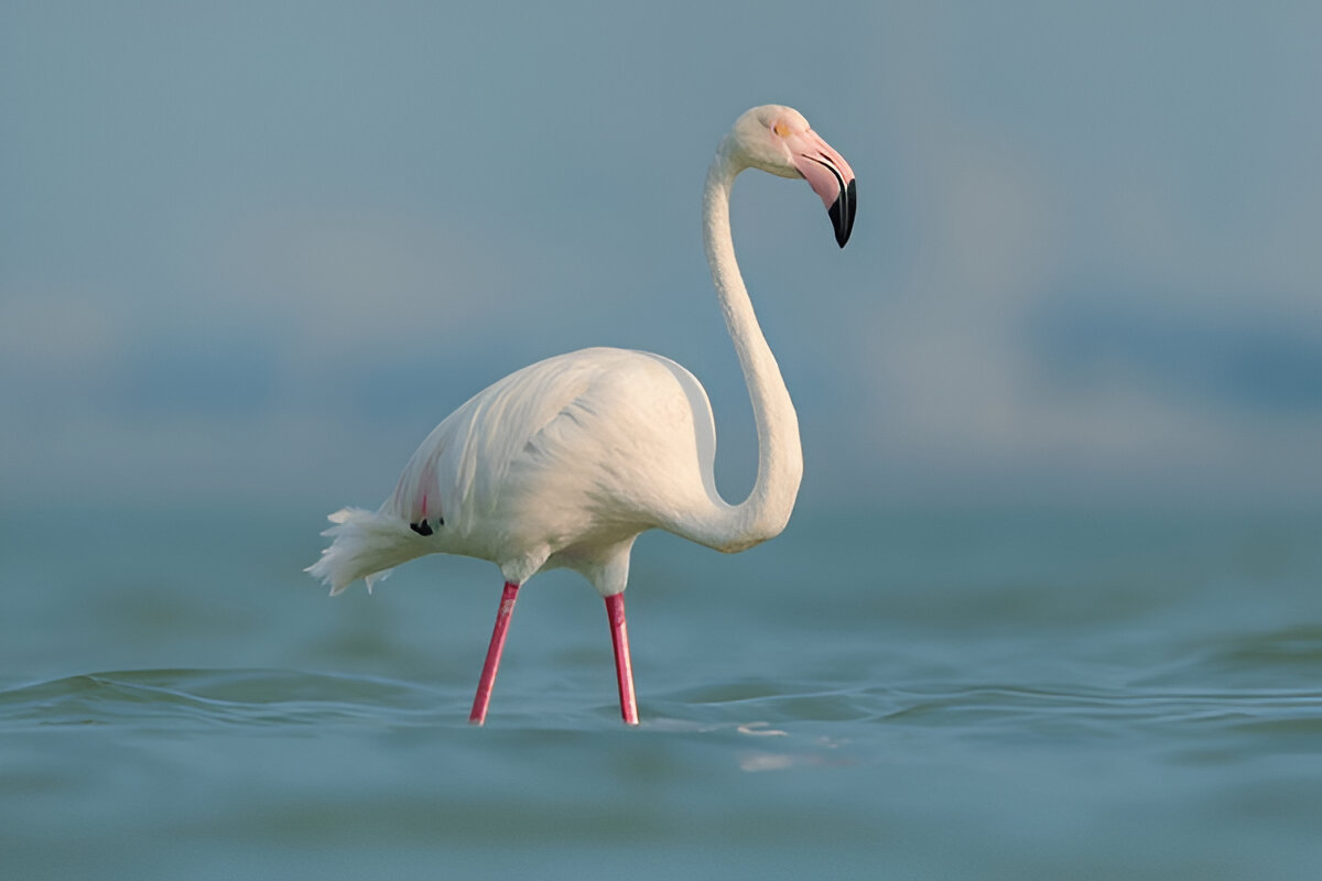 Top 7 Things to Do in Nakuru: A Guide for First-Time Visitors - Donix ...
